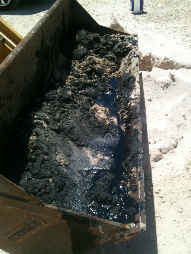 BP Oil Spill Project – Green Earth Technologies International