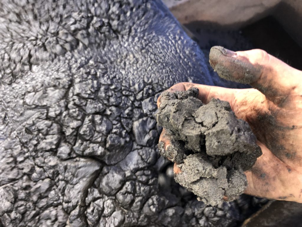 WEST VIRGINIA – Green Earth Technologies International